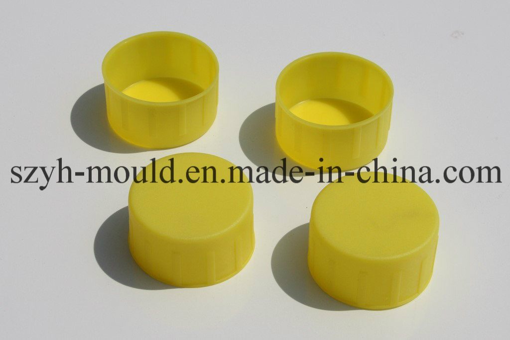 Plastic Injection End Cap Closure Mould - Mould Products, Mould ...